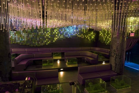 New York's eco-friendly Greenhouse Nightclub to party in a green style