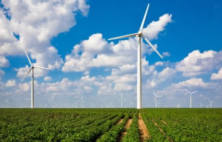 Wind turbines help crops stay dry and cool, keeping away fungi