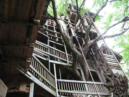 Minister's Treehouse is the world’s tallest treehouse from reclaimed wood